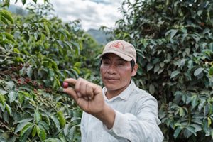 Huma Specialty Coffee – Huma Coffee